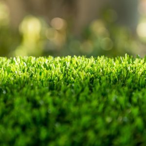 The Best Features of Synthetic Grass - SYNLawn Kansas City